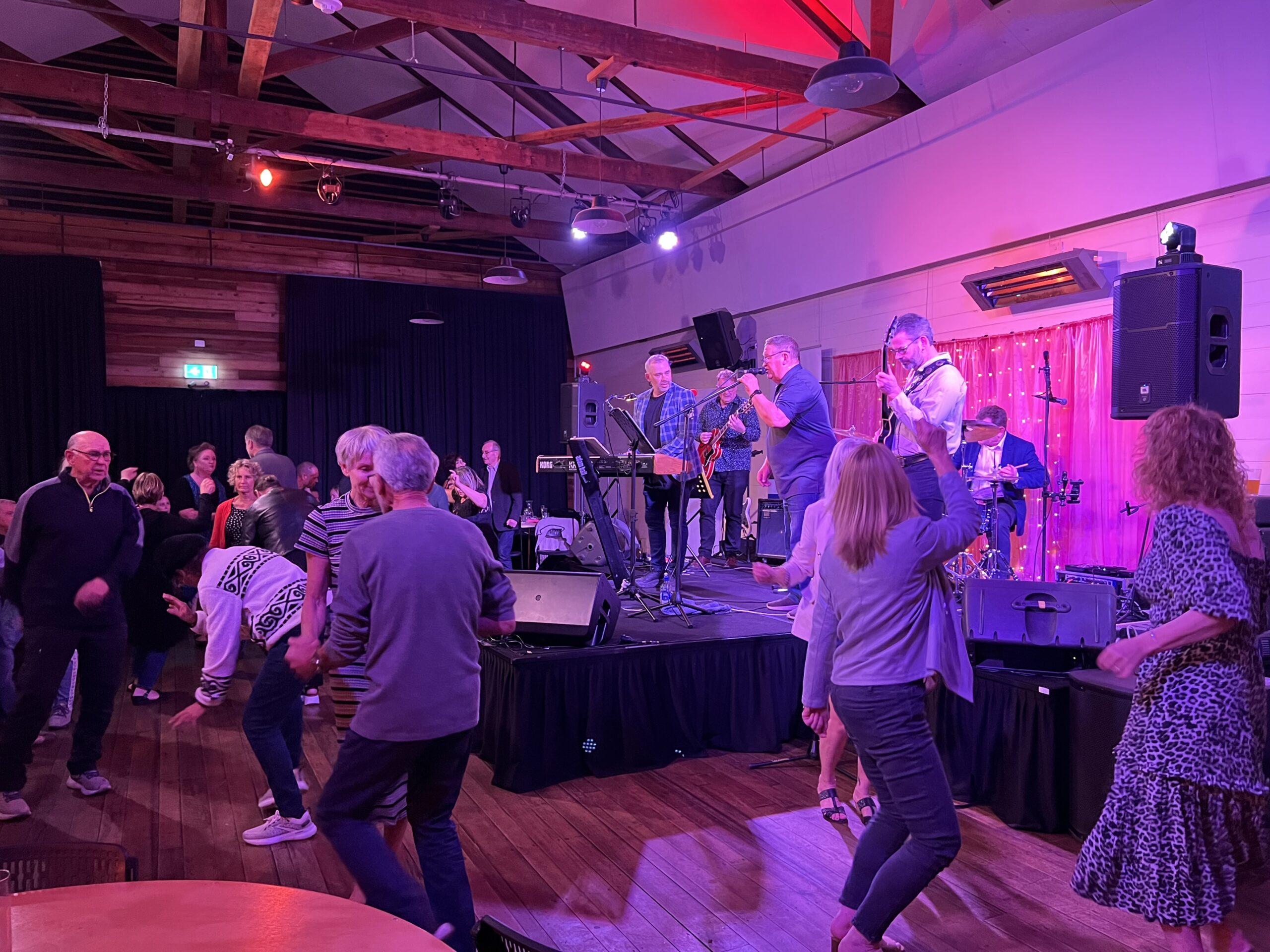 Annual Fundraiser Gig Hits All The Right Notes! - Kids Love Music